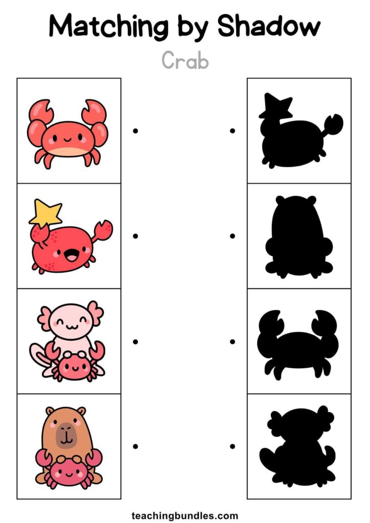 Summer Shadow Matching Worksheets - Teachingbundles